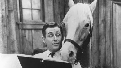 The 11 Best TV Shows About Horses | tvshowpilot.com