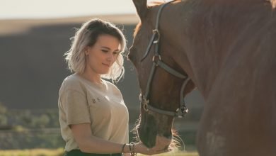 The 11 Best TV Shows About Horses | tvshowpilot.com
