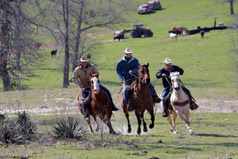 10 Cowboy Reality TV Shows That Will Knock Your Boots Off | tvshowpilot.com