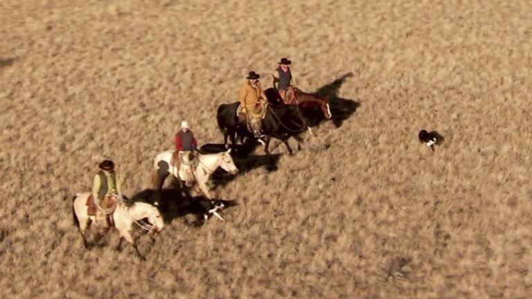 10 Cowboy Reality TV Shows That Will Knock Your Boots Off | tvshowpilot.com