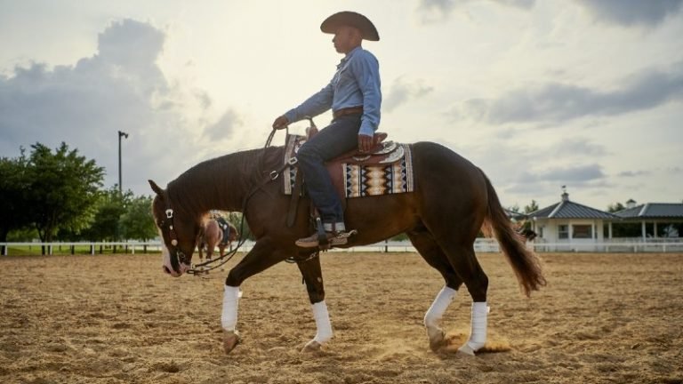 10 Cowboy Reality TV Shows That Will Knock Your Boots Off | tvshowpilot.com