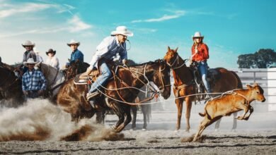 10 Cowboy Reality TV Shows That Will Knock Your Boots Off | tvshowpilot.com