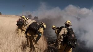 Top 25 Firefighter TV Shows | tvshowpilot.com