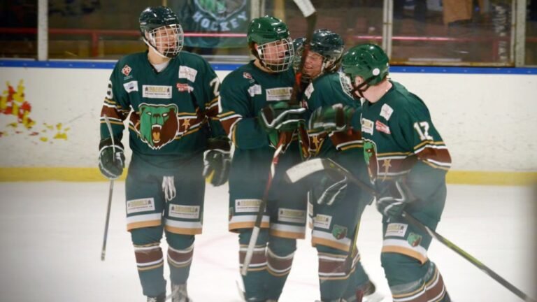 Top 30 TV Shows about Hockey | tvshowpilot.com