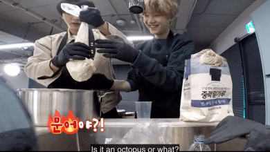 The Best (and Funniest) Episodes of Run BTS | tvshowpilot.com