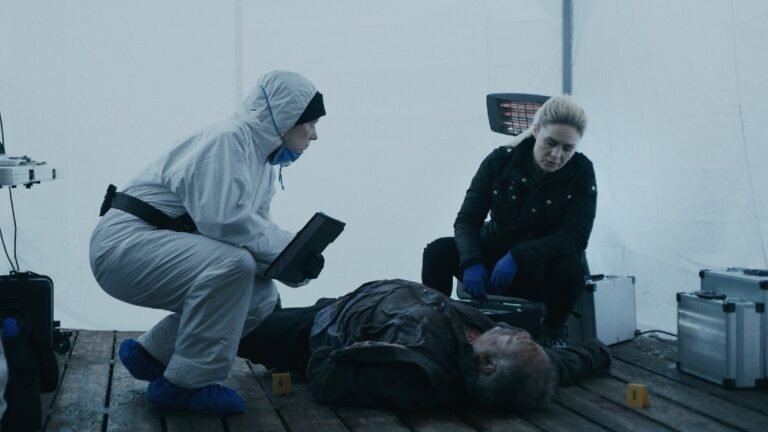 The 21 Best Scandinavian Crime Dramas | tvshowpilot.com