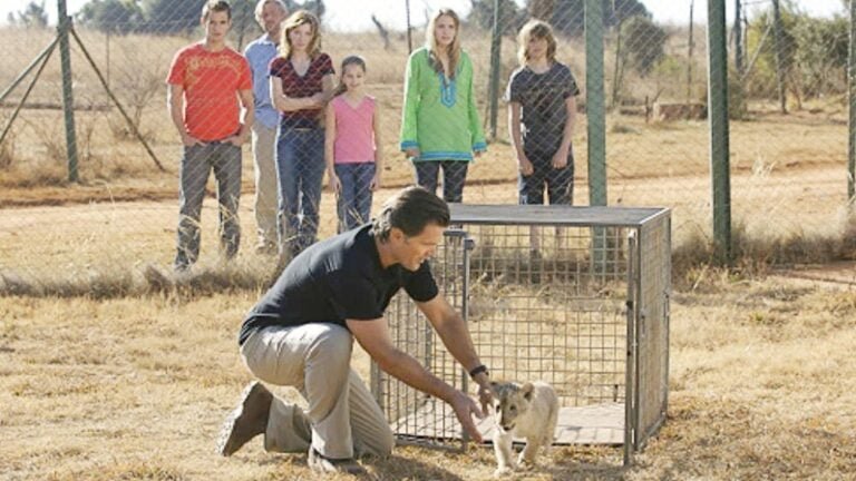 The 9 Best TV Shows About Vets | tvshowpilot.com