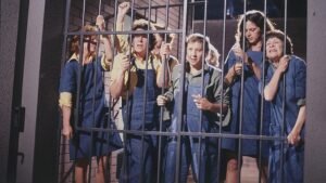 24 TV Shows About Prison | tvshowpilot.com
