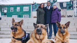 All Your Burning Hudson & Rex Questions Answered | tvshowpilot.com