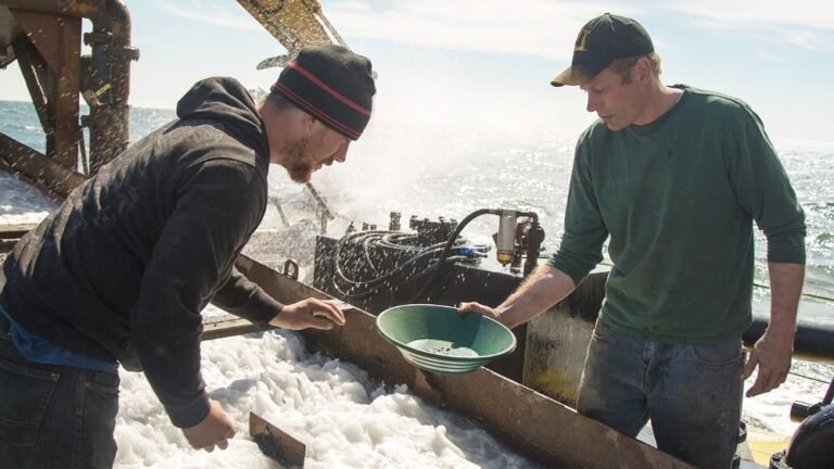 The 26 Best TV Shows About Treasure Hunting | tvshowpilot.com