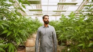 The 22 Best TV Shows About Weed | tvshowpilot.com