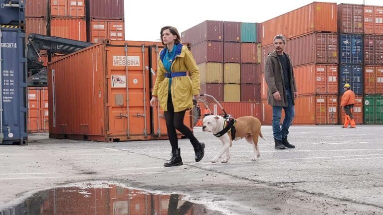 The 32 Best Italian Detective Series & Crime Dramas | tvshowpilot.com