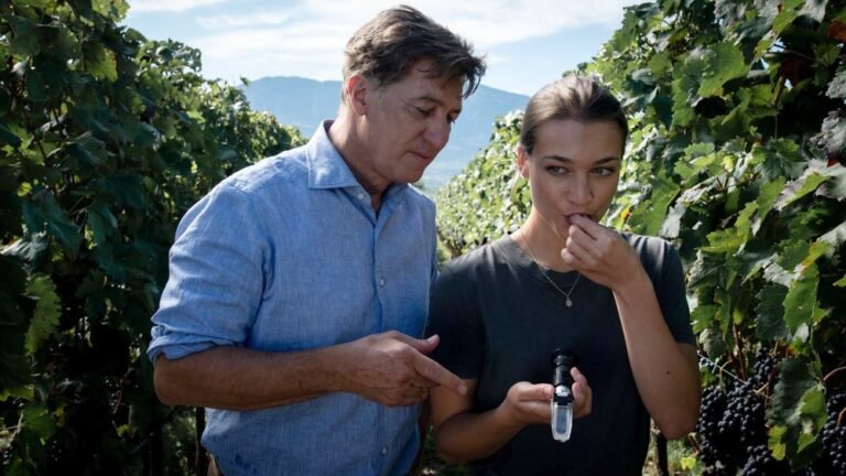 The 19 Best TV Shows About Wine | tvshowpilot.com
