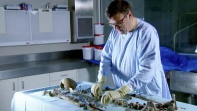 Top 11 TV Shows About Coroners | tvshowpilot.com